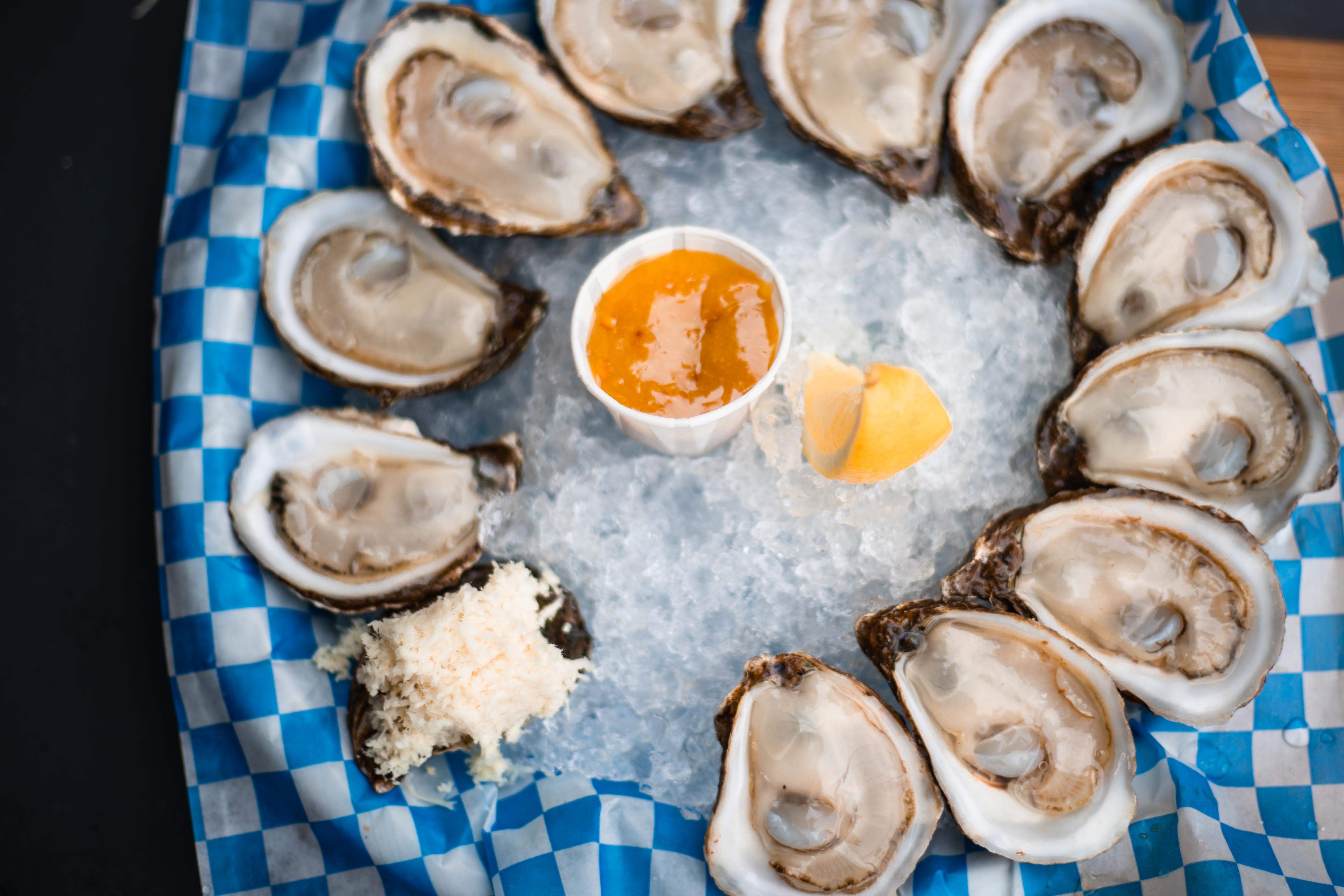 1 Dozen Shucked Oysters | The Shuck Truck